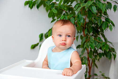 Com rentar els pitets? • Socpetit.cat